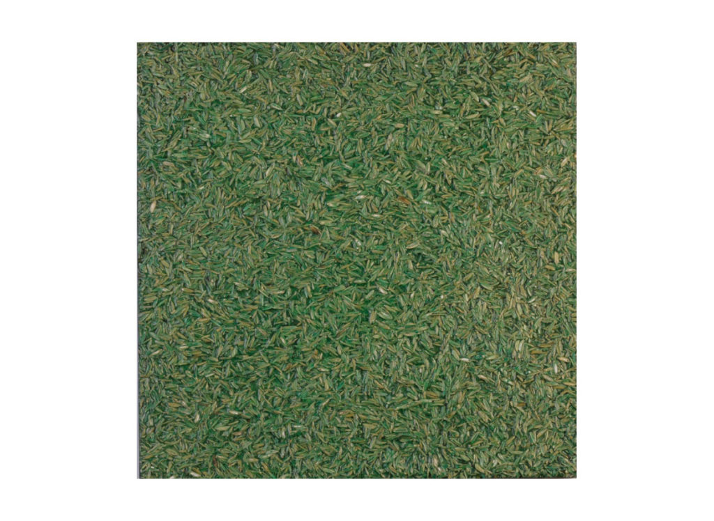 HMT Sahara Gabon Green Embossed Doğal Laminat Panel | Teska